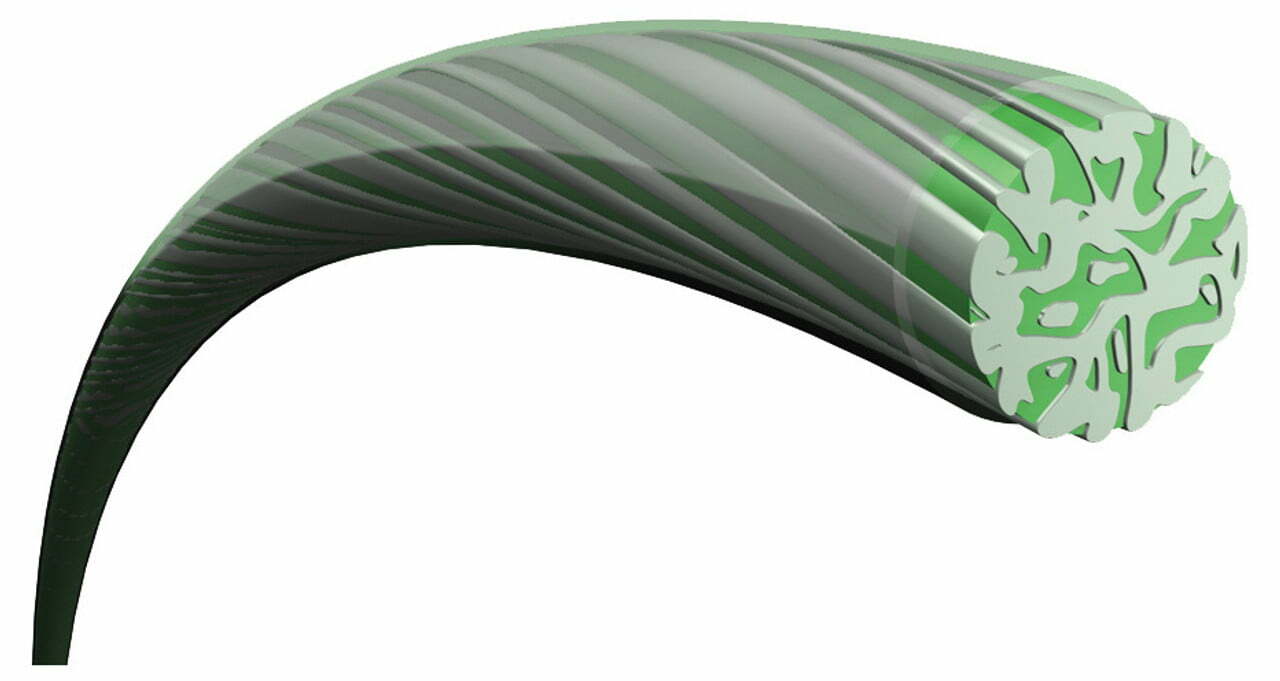 PRINCE BRAND - טניסזון - Tennis Zone